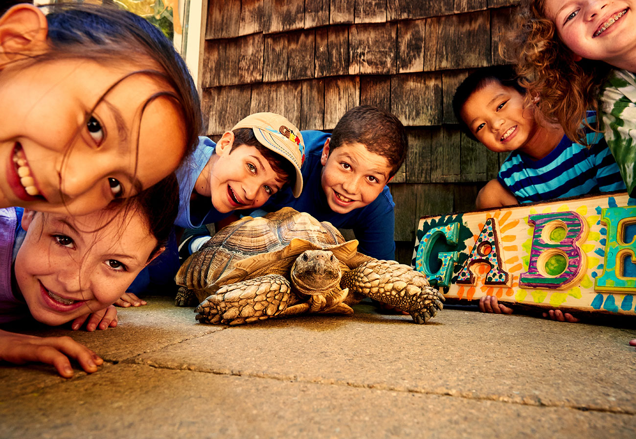 Summer Nature Camp Program - Nature Camp For Kids on Long Island, NY