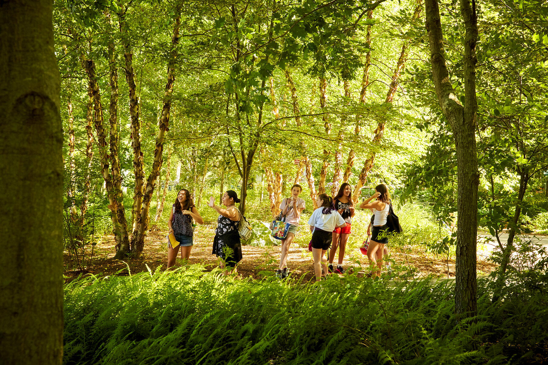 Last Day: 4-week A Session | Usdan